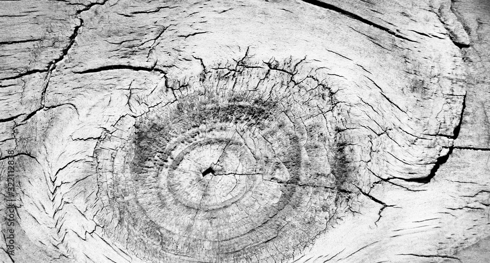 Rough splintered neutral reclaimed wood surface with aged boards lined ...