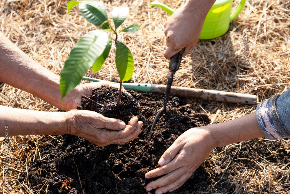 The hand of the senior woman and the hand of young women are helping ...