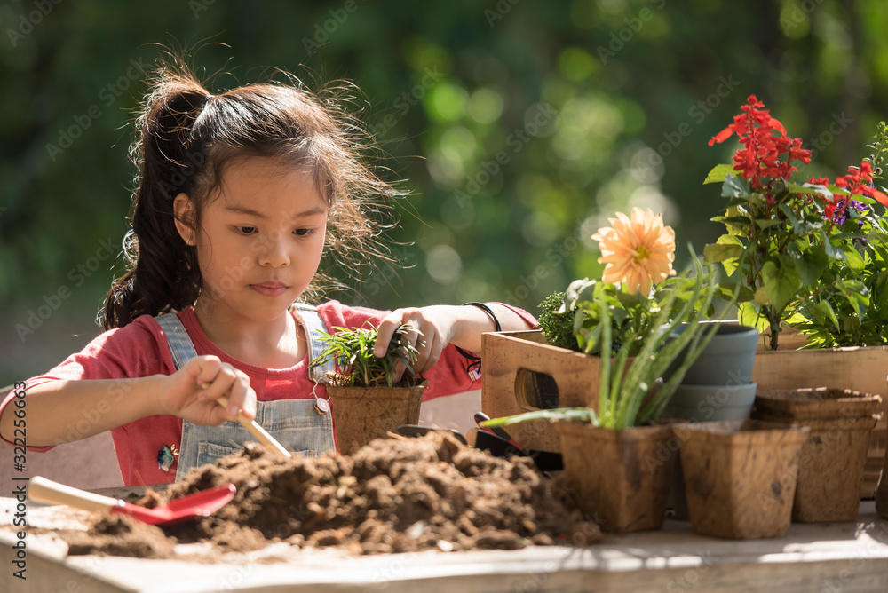 adorable asian little girl is planting spring flowers tree in pots in ...