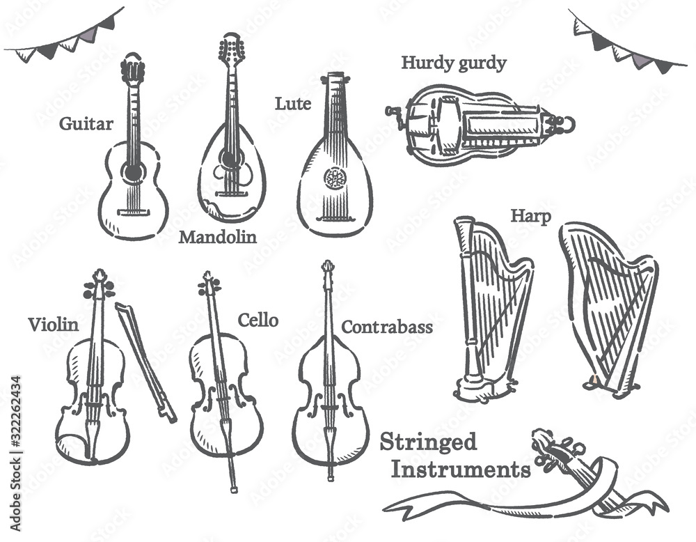 弦楽器イラスト素材セット Stock Vector | Adobe Stock