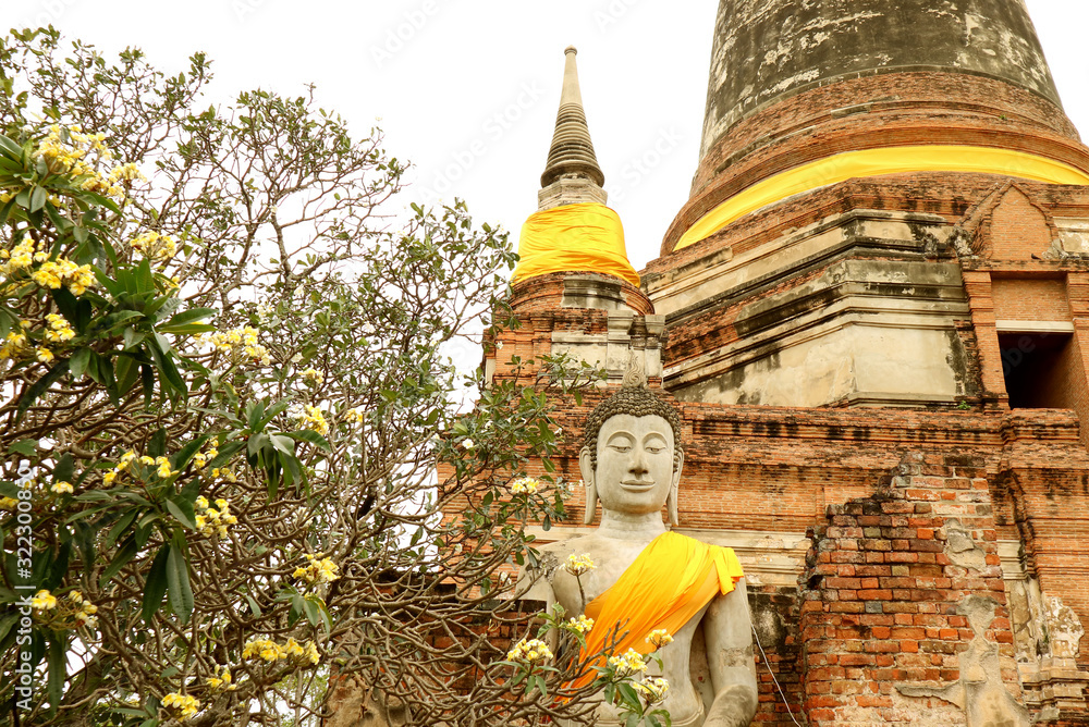 Gorgeous Buddha Image in front of the Stupa with Plumeria Flowering ...