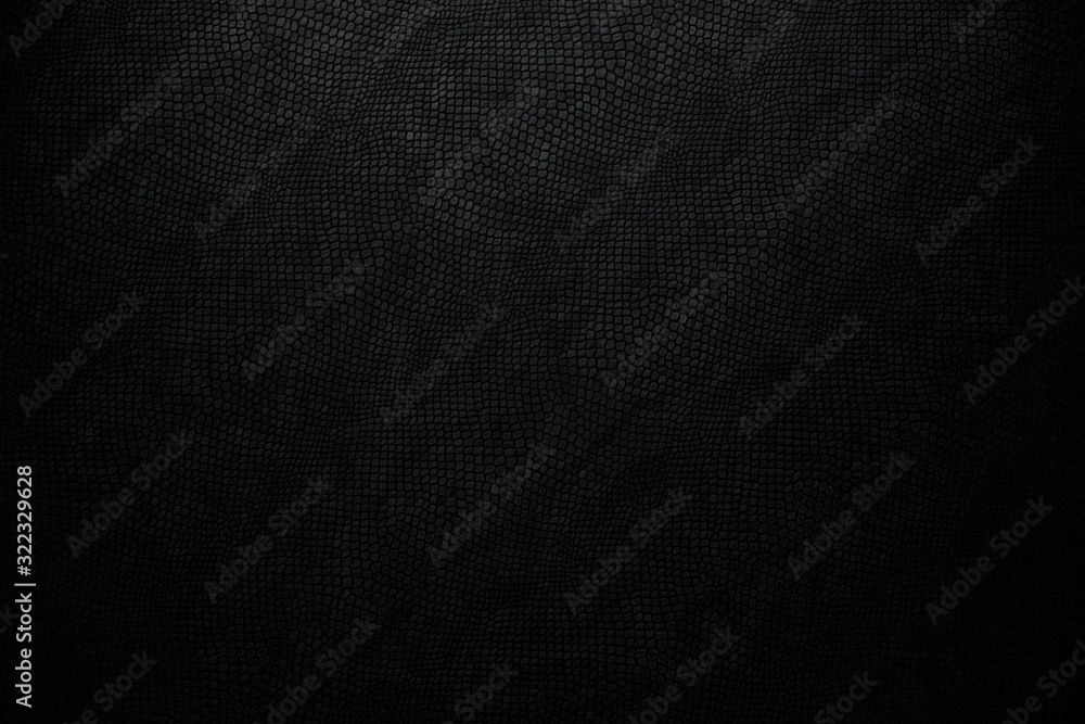 black snake skin texture for background Stock Photo | Adobe Stock