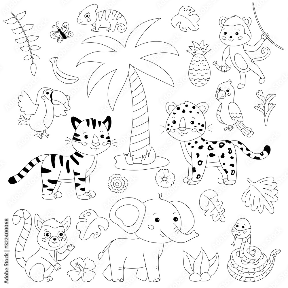 Coloring page of cartoon jungle animals and birds. Tropical plants ...