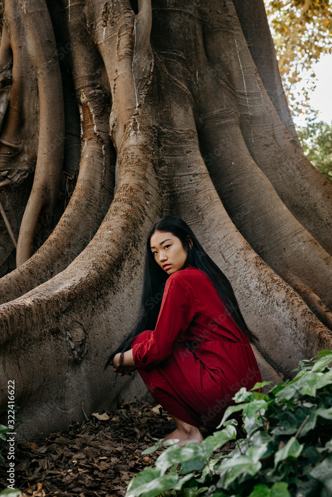 Beautiful young woman wearing a red dress crouching at a tree with ...