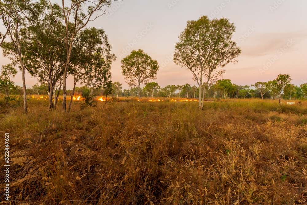 Landscape view of "Controlled Burning" to reduce bushfire risk in the ...
