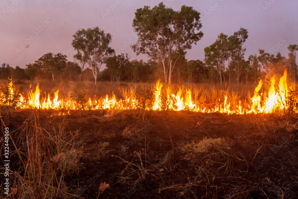 Landscape view of "Controlled Burning" to reduce bushfire risk in the ...