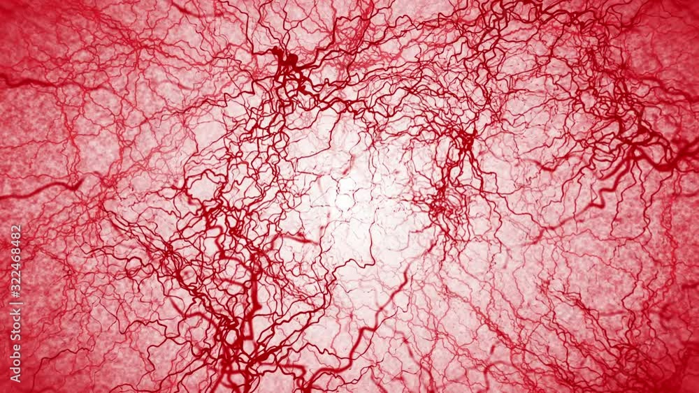 3D loop animation of human blood vessel. Red capillaries. Eye blood on ...