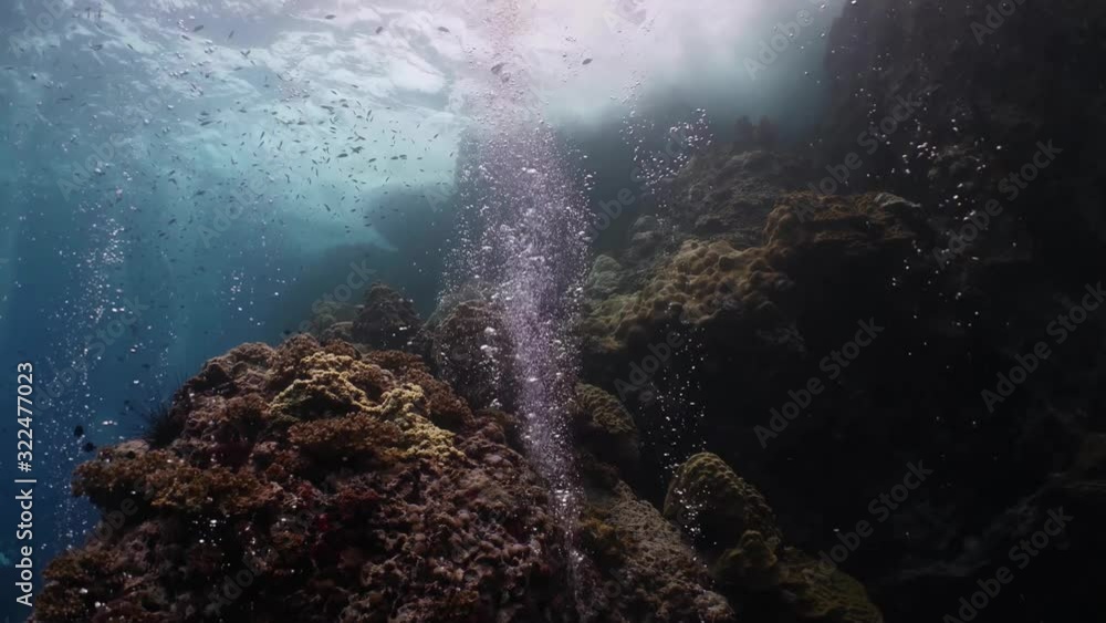 Underwater cliffs overgrown with corals and sea anemones. Many fish of ...