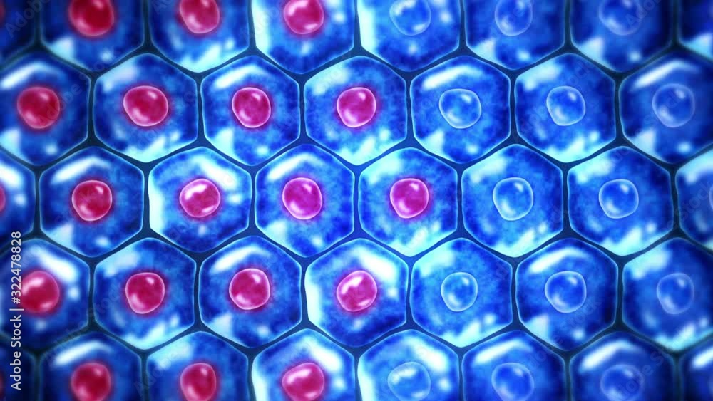 Human skin cells. Each cell with membrane. Cellular therapy. Disease ...