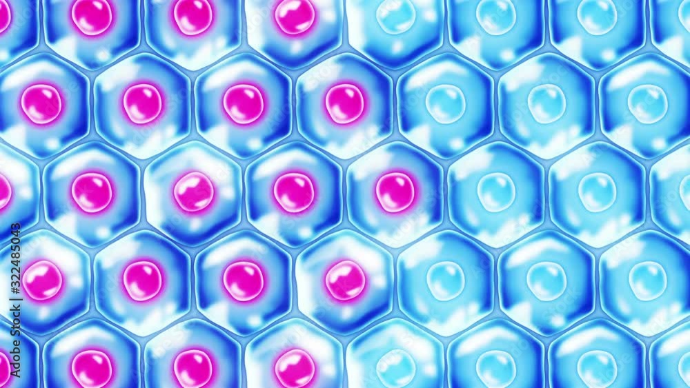 Human skin cells. Each cell with membrane. Cellular therapy. Disease ...