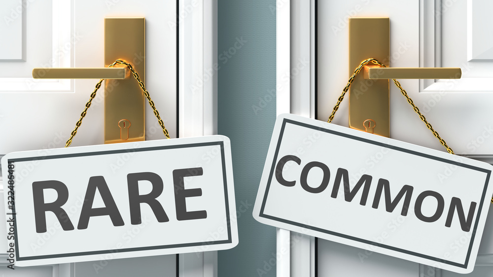 Rare or common as a choice in life - pictured as words Rare, common on ...