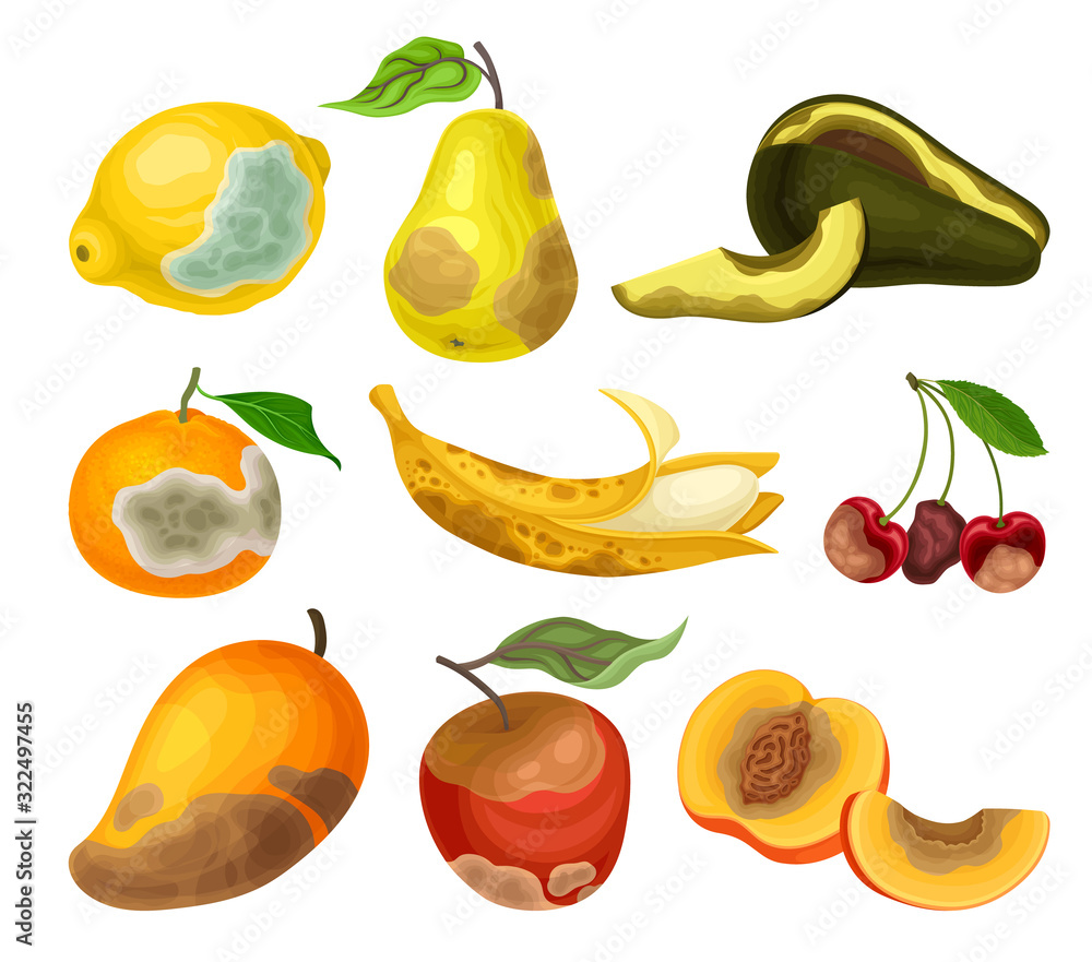 Rotten Fruits with Stinky Rot Covered the Skin Vector Set Stock Vector ...