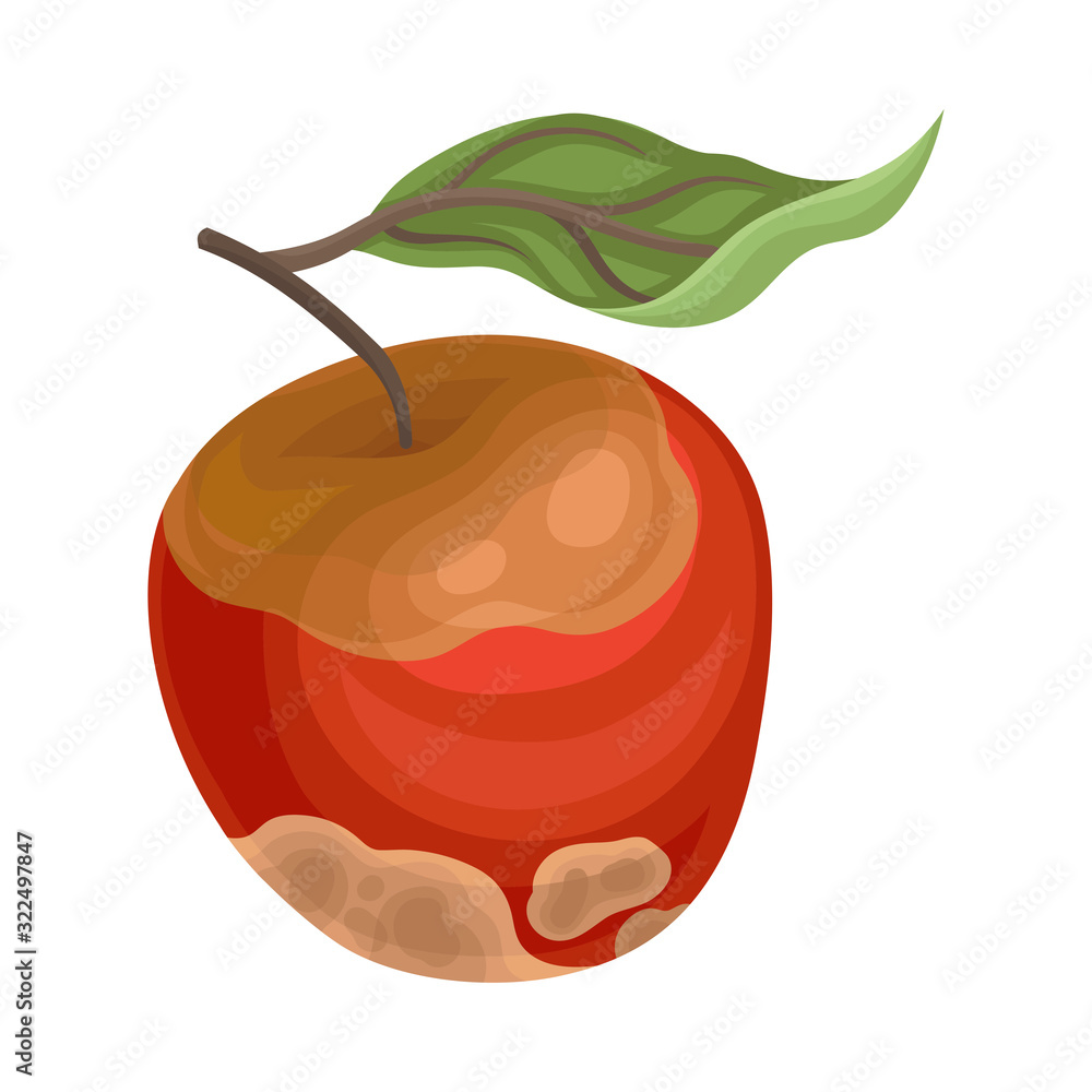 Spoiled and Rotten Apple Fruit with Skin Covered with Stinky Rot Vector ...