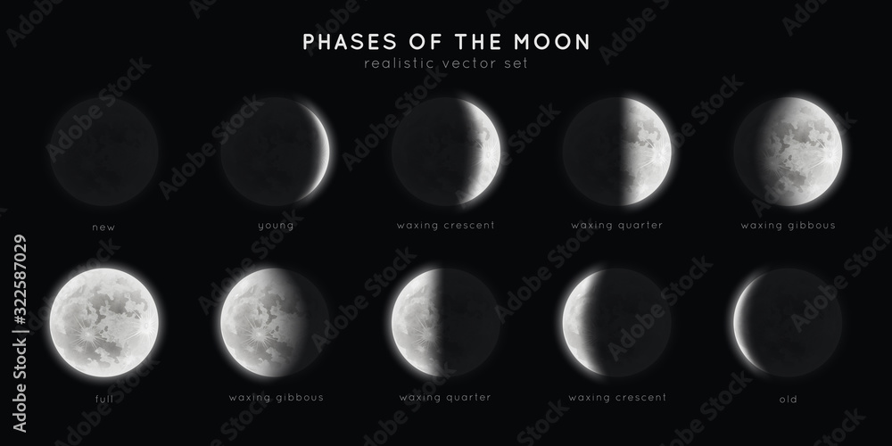 Realistic phases of the moon. Vector elements lunar collection ...
