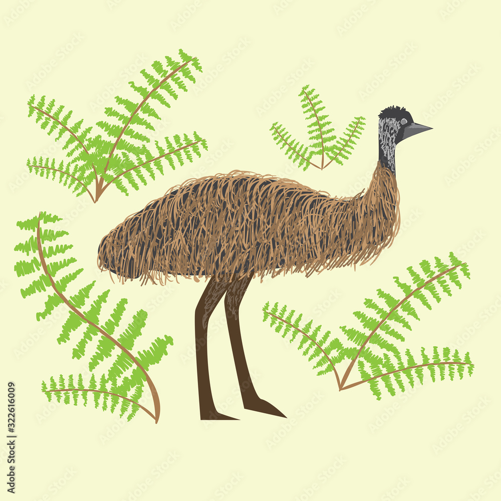Cartoon emu and fern green plantings. Australian wildlife scene vector ...