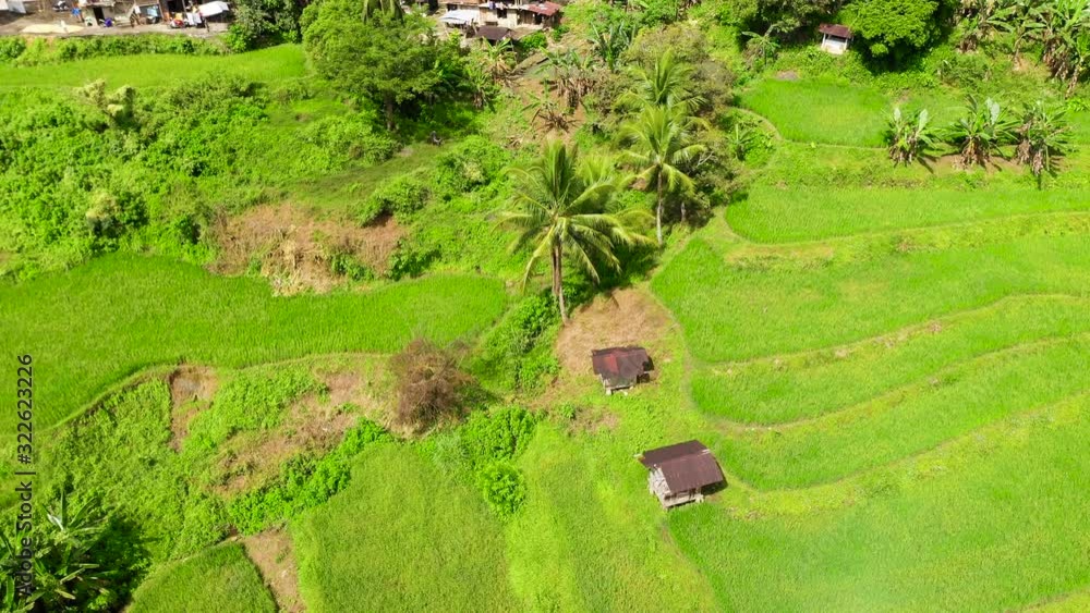 Rice terraces in the Philippines. The village is in a valley among the ...