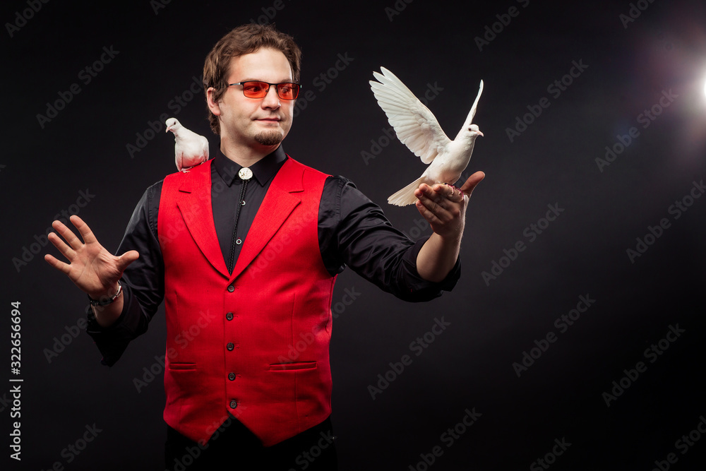 Mysterious illusionist shows tricks with doves. Two pigeons sitting on ...