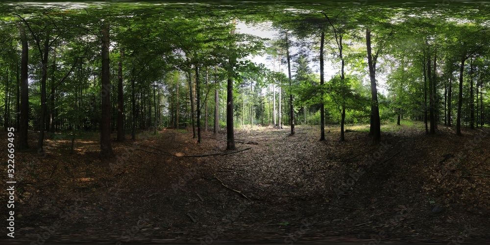 Forest in the Summer HDRI Panorama Stock Photo | Adobe Stock