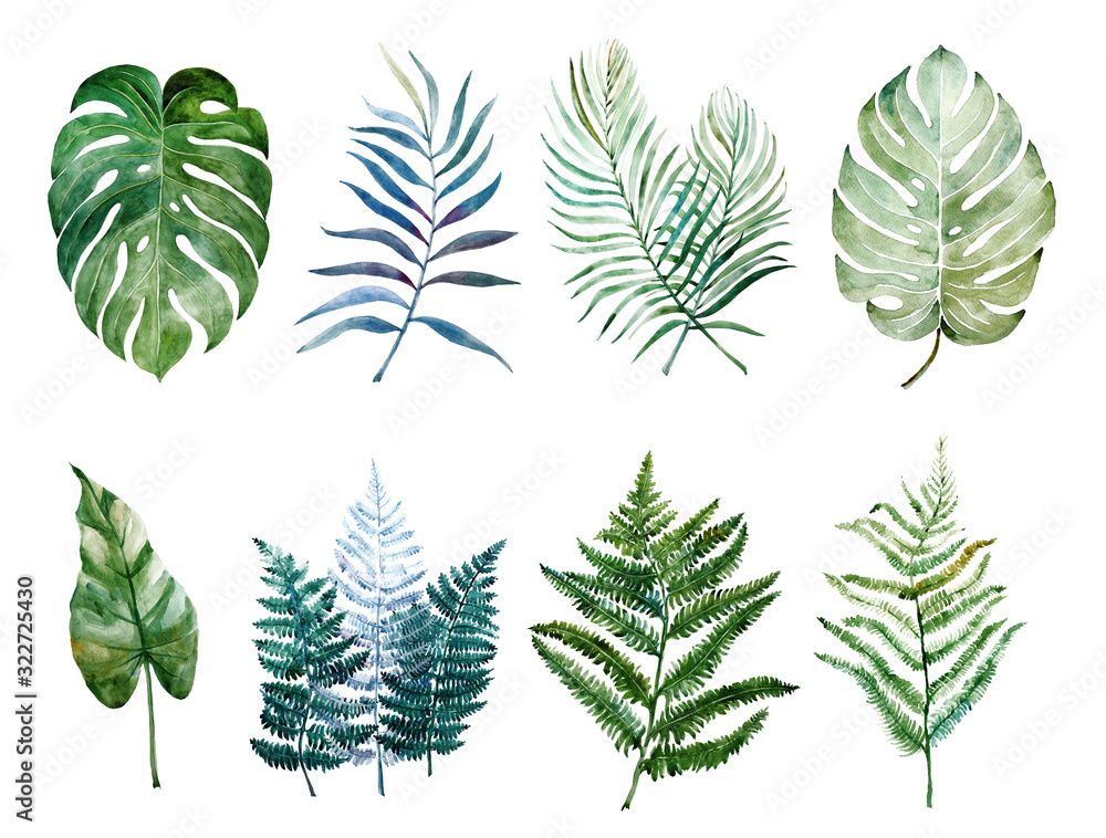 Beautiful watercolor tropical leaves painted on white paper Stock ...
