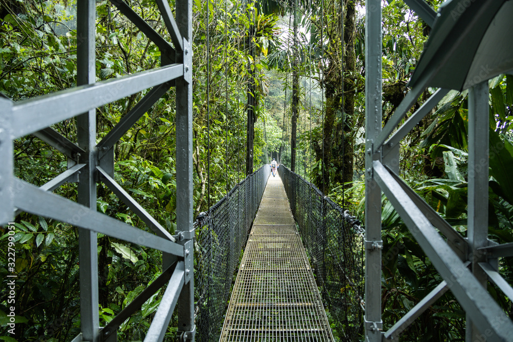 Wide angle shot of the beginning of a hanging bridge in Costa Rica ...