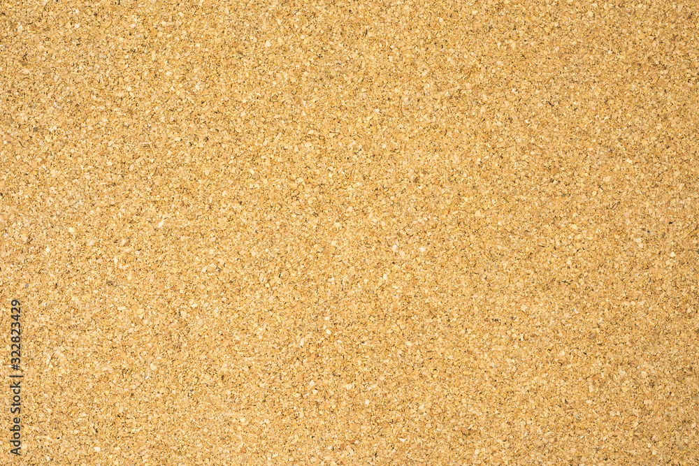 Corkboard Texture