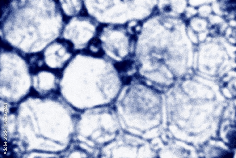 Background depicting microscopic compounds, fibers, abstraction ...