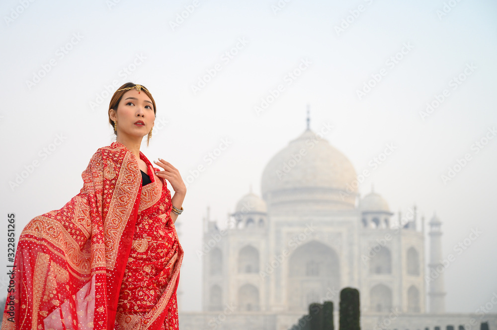 Portrait of young woman in red saree indian traditional dress against ...