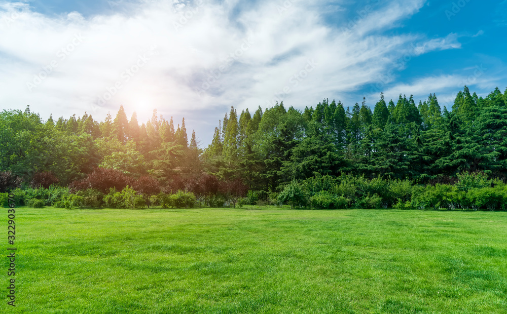 Grass and trees in the park under the blue sky.. Stock Photo | Adobe Stock
