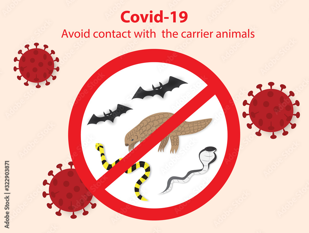 Covid-19 outbreak and avoid contact with the carrier animals text ...