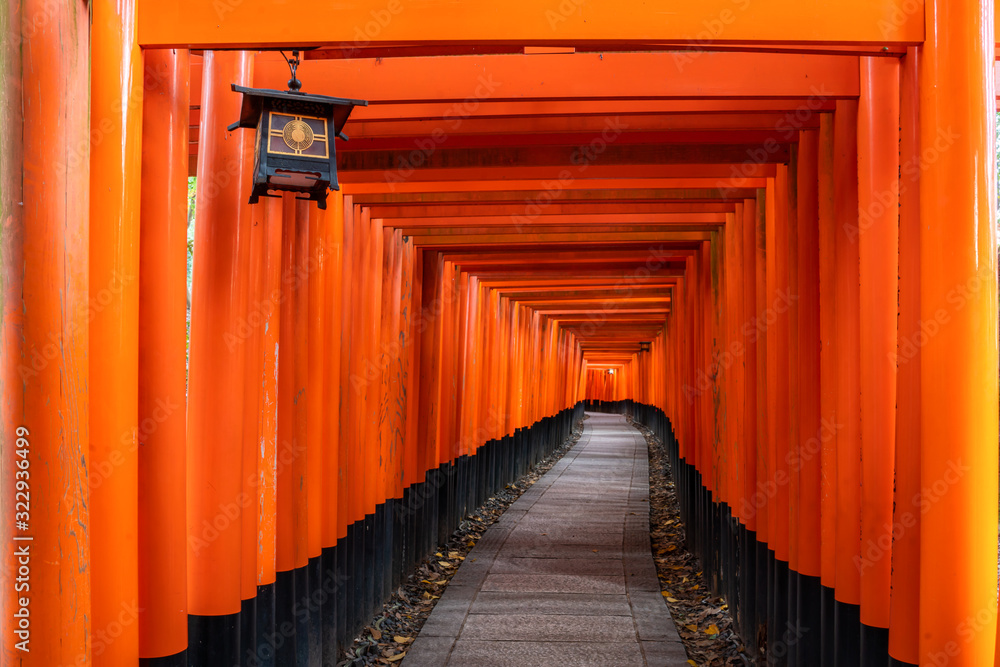 Fotka „Thousand of red torii gates along walkway in fushimi inari ...