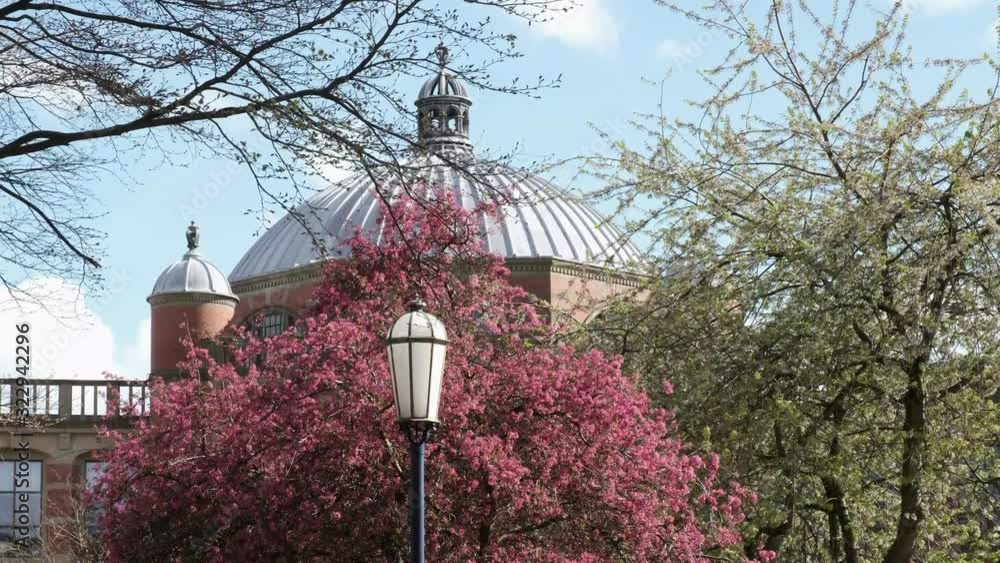 Spring blossom flowering at the famous University of Birmingham, West ...
