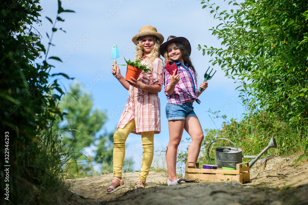Eco farming concept. On way to family farm. Agriculture concept ...