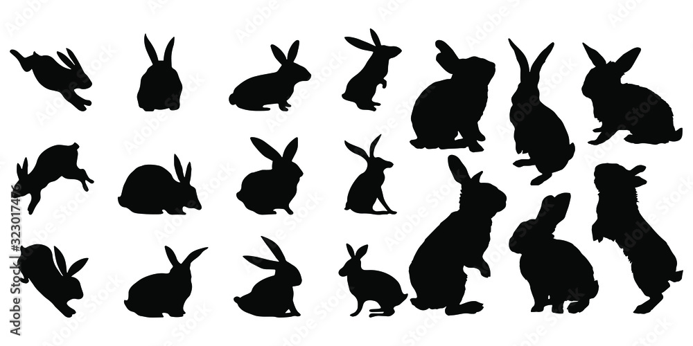 Rabbit Set Isolated On White Background Stock Vector | Adobe Stock