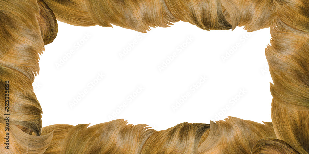 Curls of blond hair of various shades framing borders of picture on ...