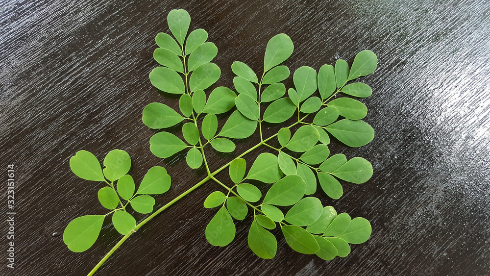Moringa oleifera is a plant that is often called the drumstick tree ...
