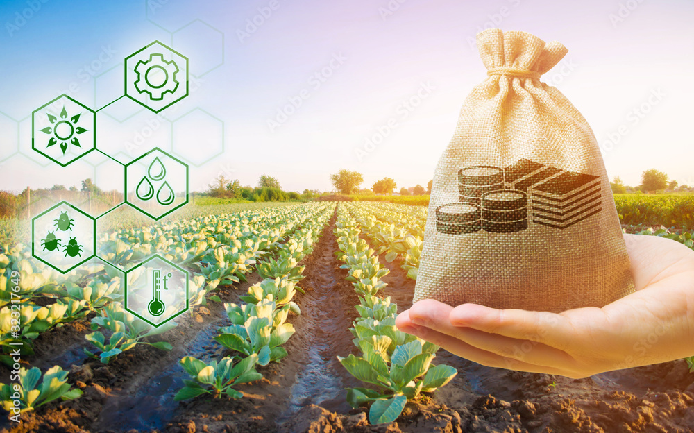 Money bag on the background of agricultural crops in the hand of the ...