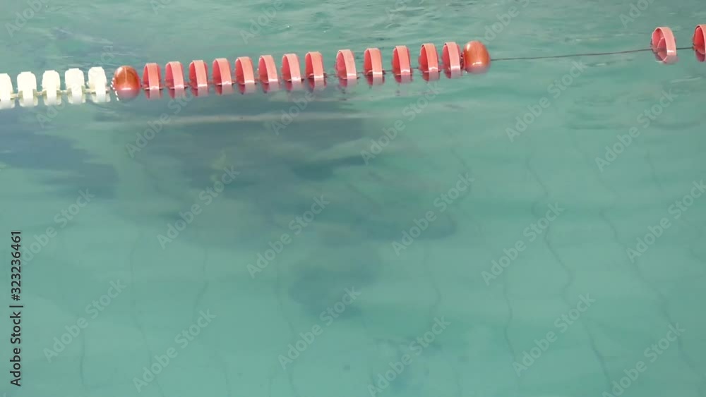 Two divers are trained in the pool. Learning to Scuba Dive in a ...