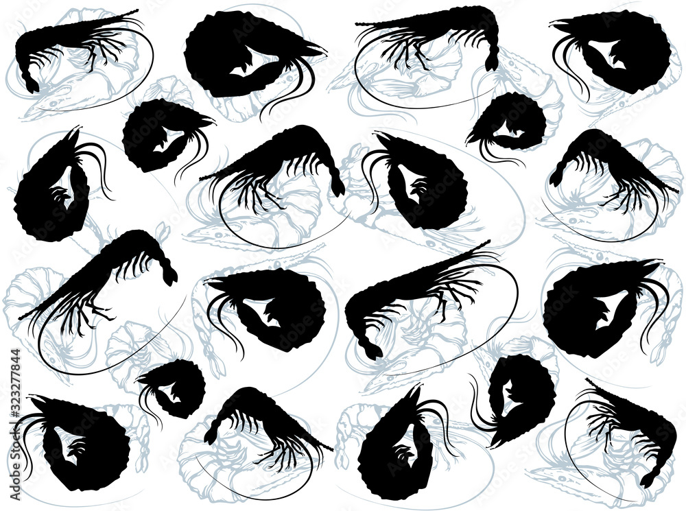 Big shrimp. Vector sketch drawing Stock Vector | Adobe Stock