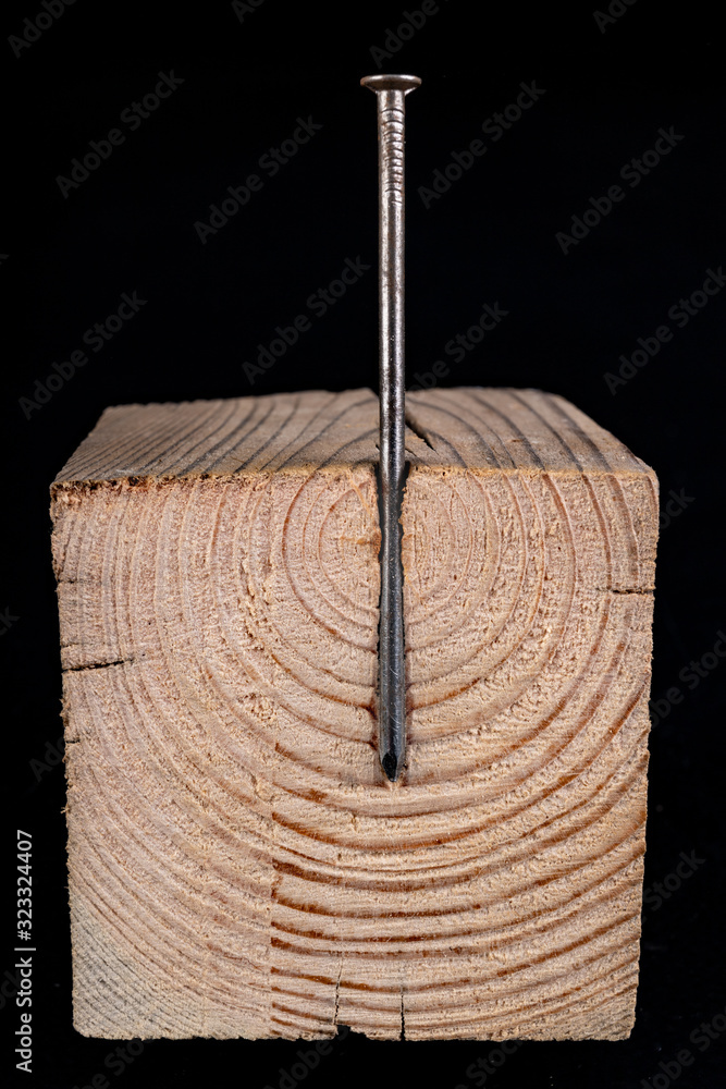 One nail embedded in a piece of wood shown in cross-section. Carpentry ...