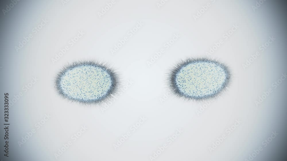 Bacteria cell division - mitosis and reproduction concept. 3D rendered ...