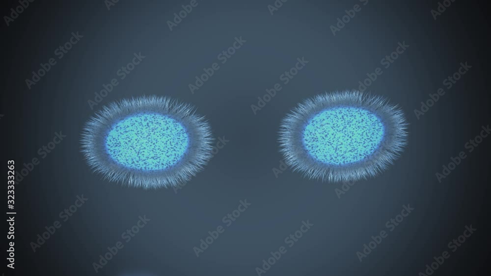 Bacteria cell division - mitosis and reproduction concept. 3D rendered ...
