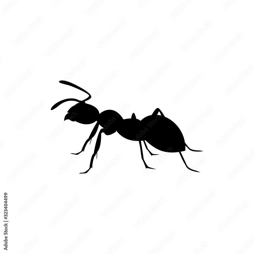 ant insect Stock Vector | Adobe Stock