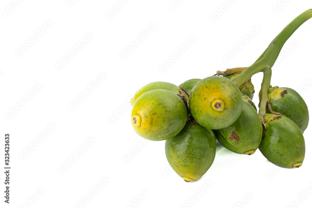 Fresh Areca nut palm or Betel nut palm (Areca catechu Linn.) isolated ...