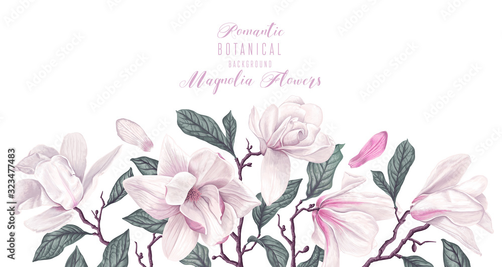 Vector horizontal border with white magnolia flowers and leaves ...