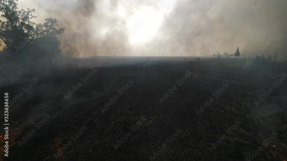 Close up view of wildfire, spreading flames of forest fire. Natural ...