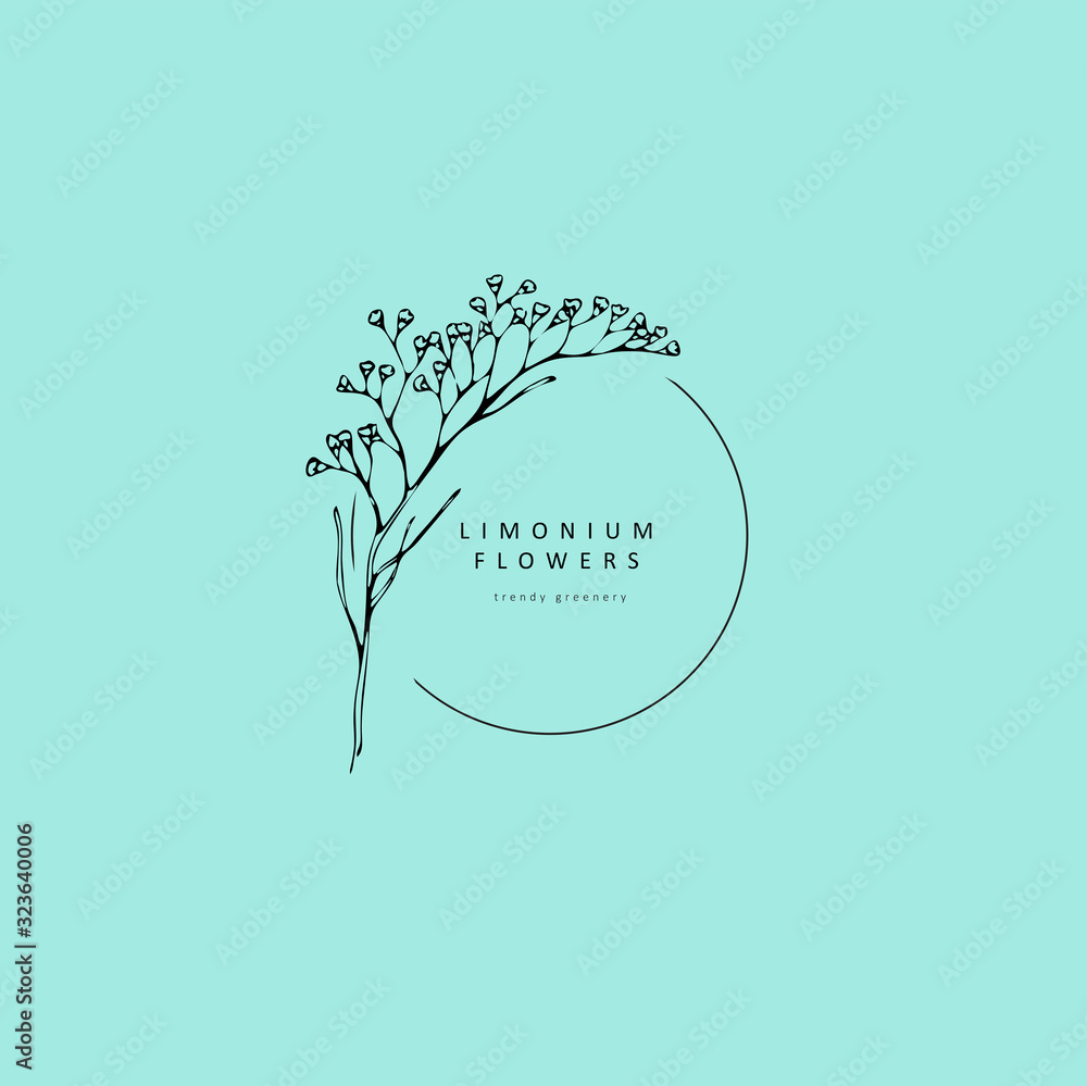 Limonium, babys breath logo and branch logo and branch. Hand drawn ...