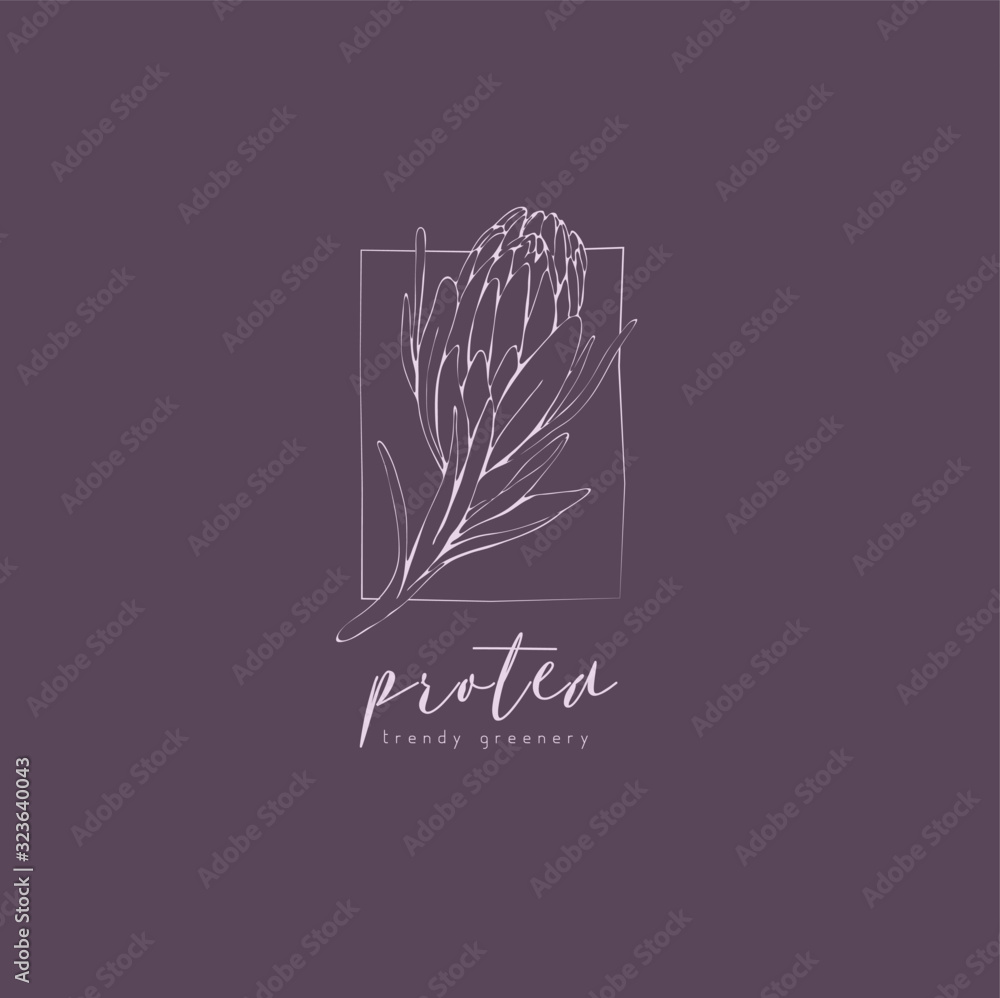 Protea logo and flowers. Hand drawn wedding herb, plant and monogram ...