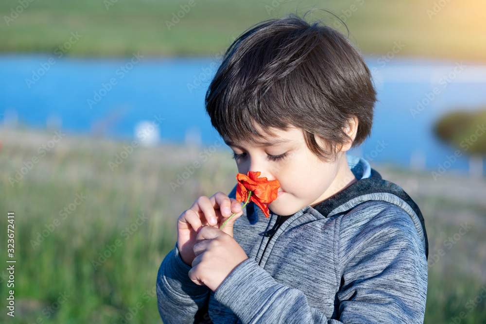Portrait of adorable boy smelling flower, Candid shot child Smell ...