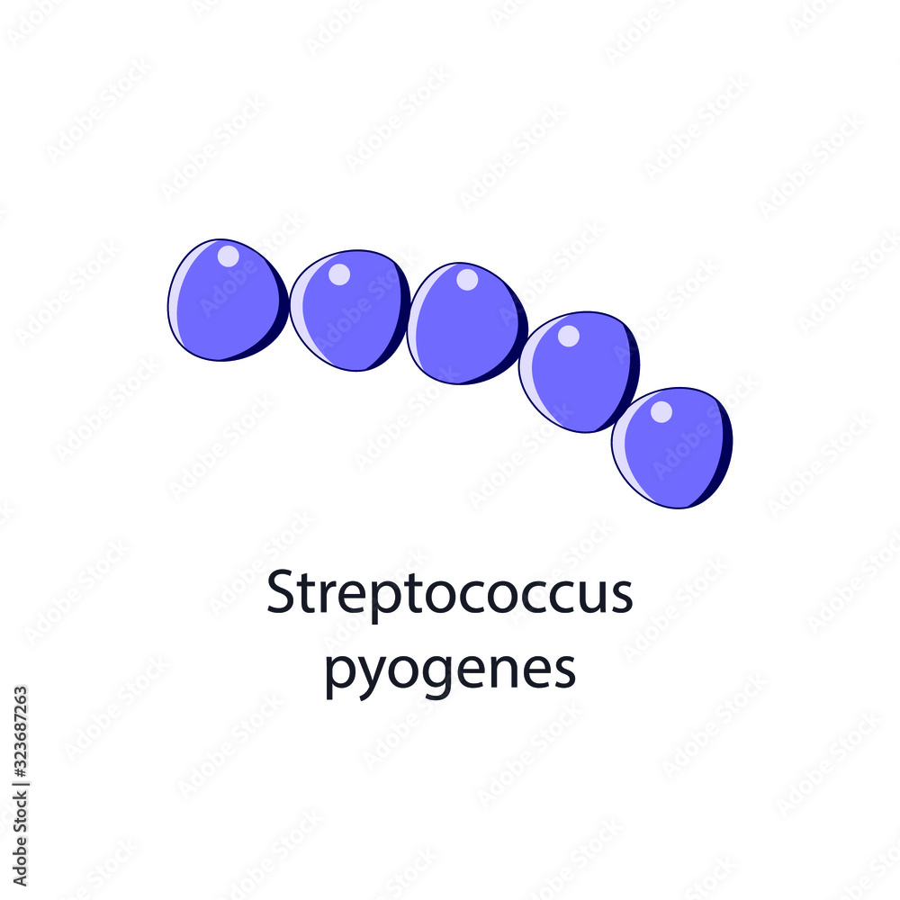 Streptococcus pyogenes. Bacterial microorganism. Vector illustration ...