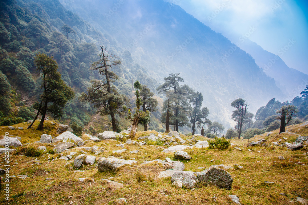 Indian magic Himalayas mountains in Dharamshala Treck to Triud ...